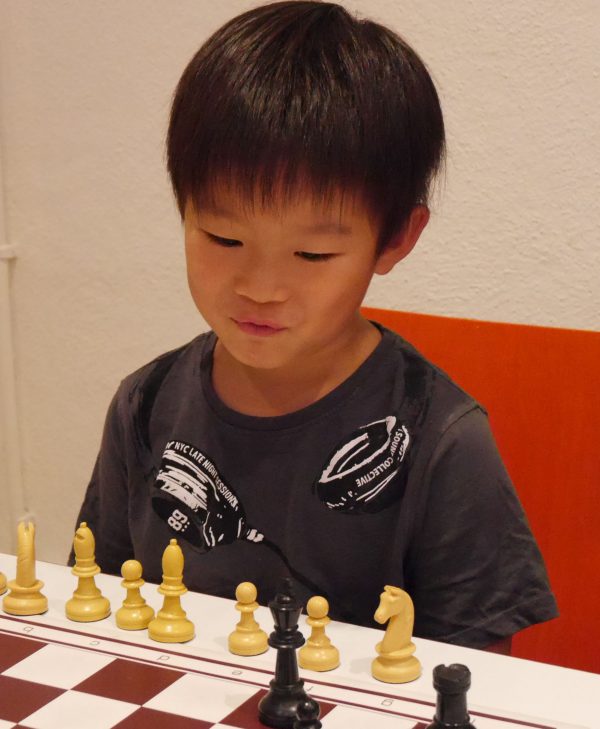 Qi Li – Karlsruher Schachfreunde 1853 e.V.